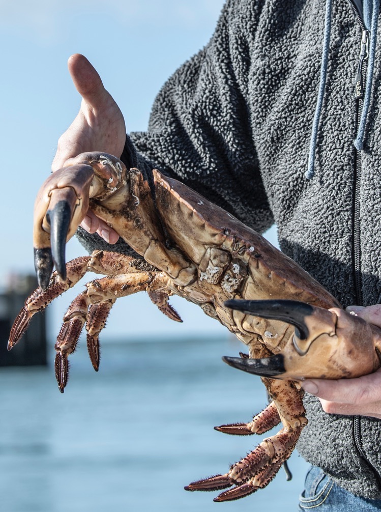 Home - Fish Shop Restaurant & Fishmongers